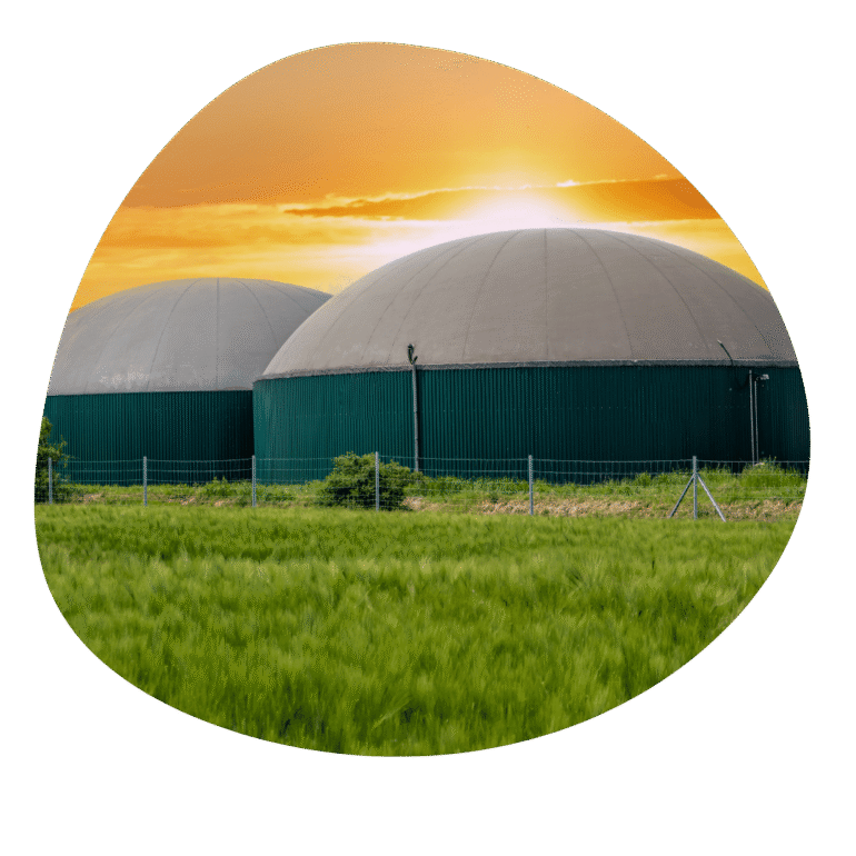 CBG Plant – Bioflare