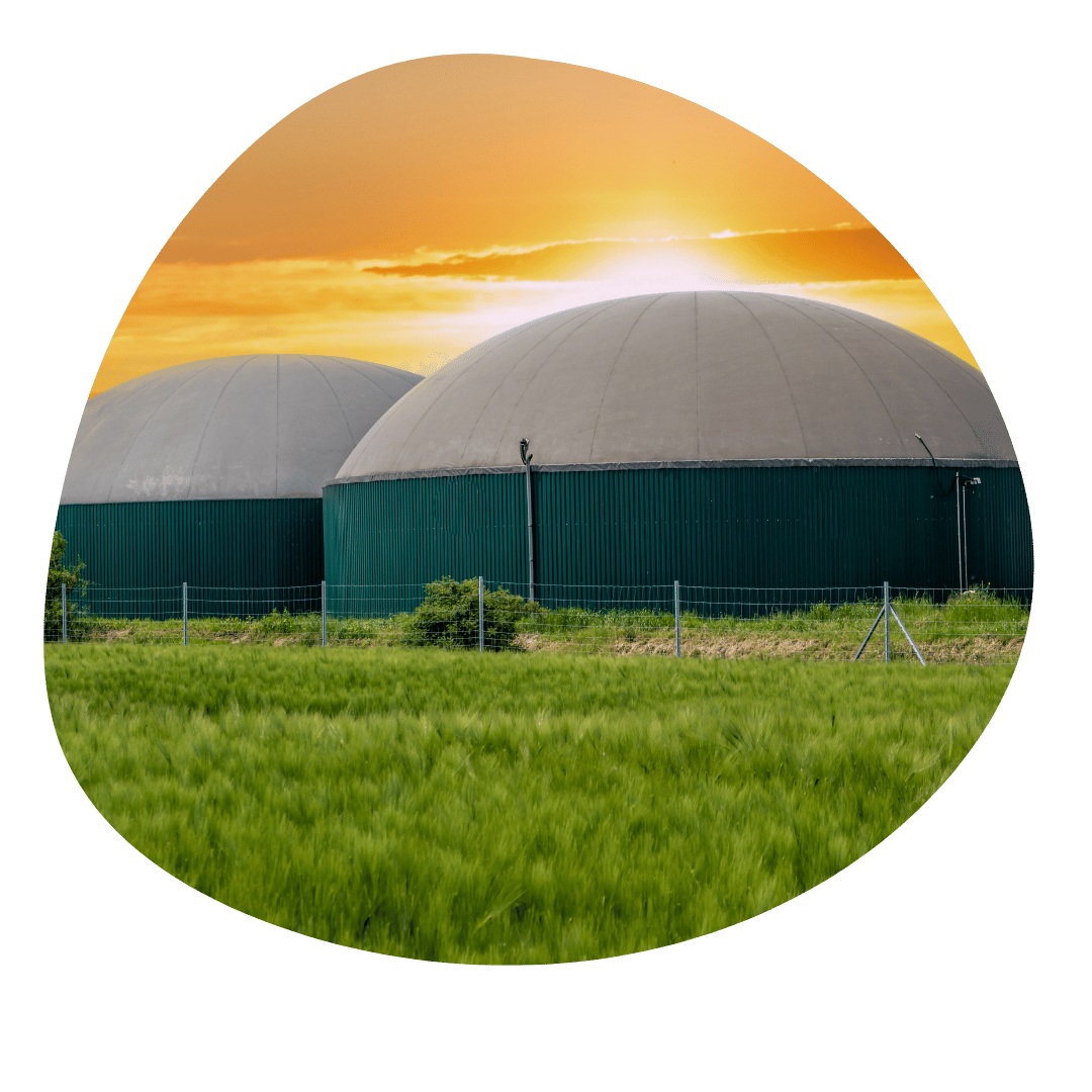 CBG Plant Bioflare cbg-plant-bioflare